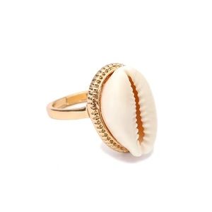 Jewelry | New Gold Shell Midi Ring | Poshmark